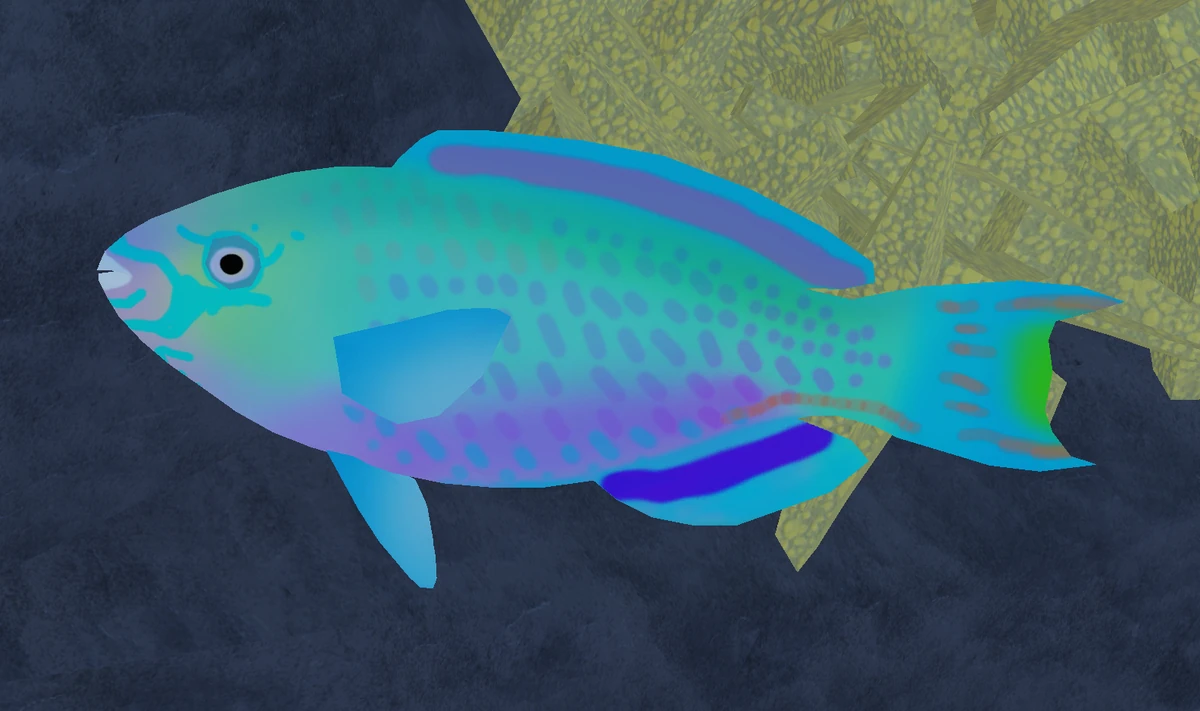 Quoy's Parrotfish | CatfishYAY's National Aquarium Wiki | Fandom