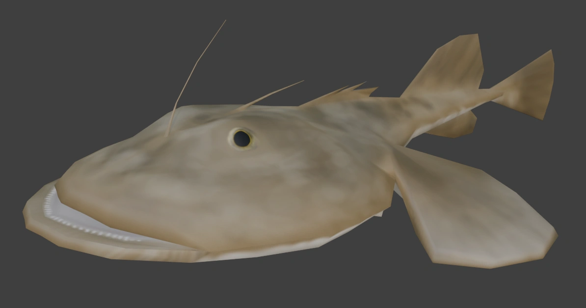Monkfish | CatfishYAY's National Aquarium Wiki | Fandom