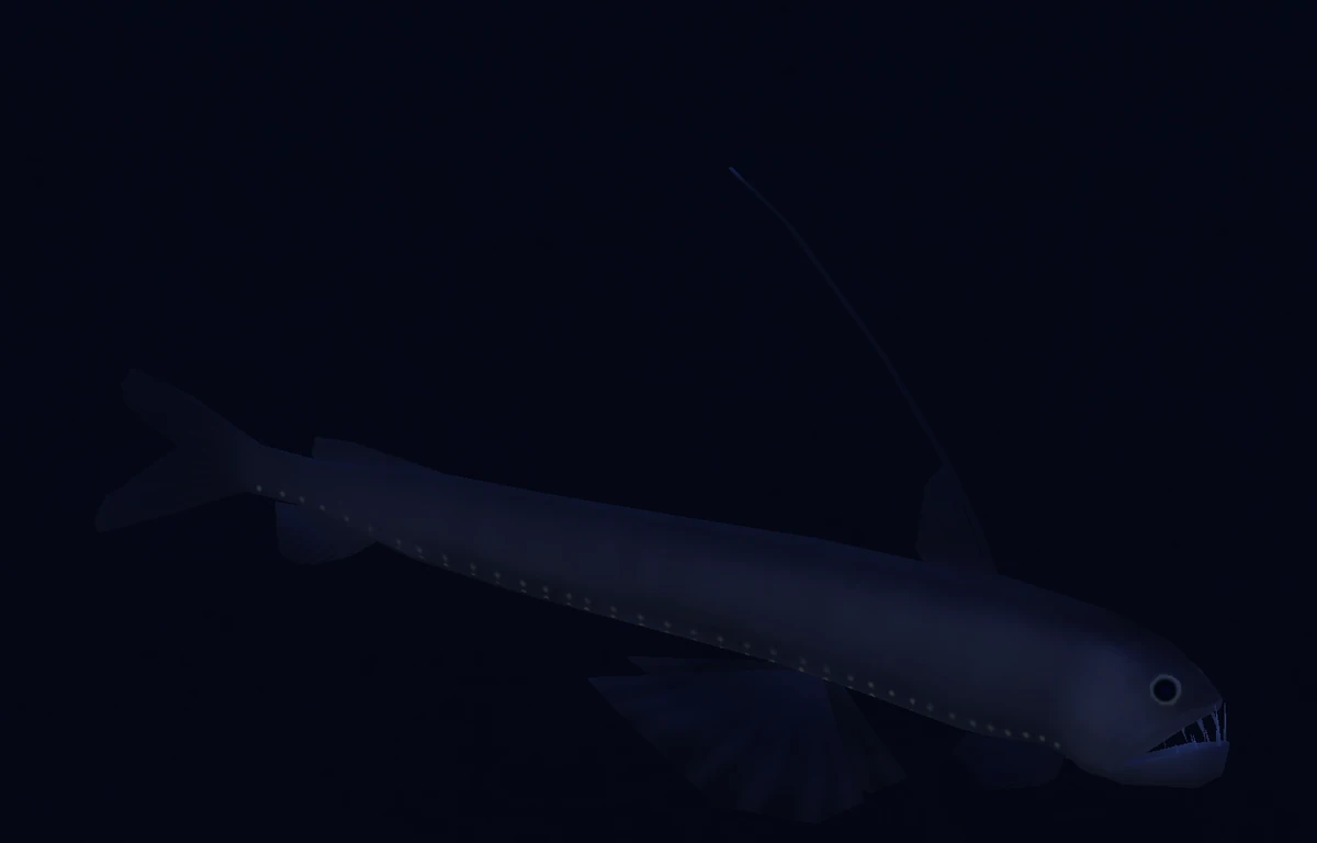 Pacific Viperfish | CatfishYAY's National Aquarium Wiki | Fandom