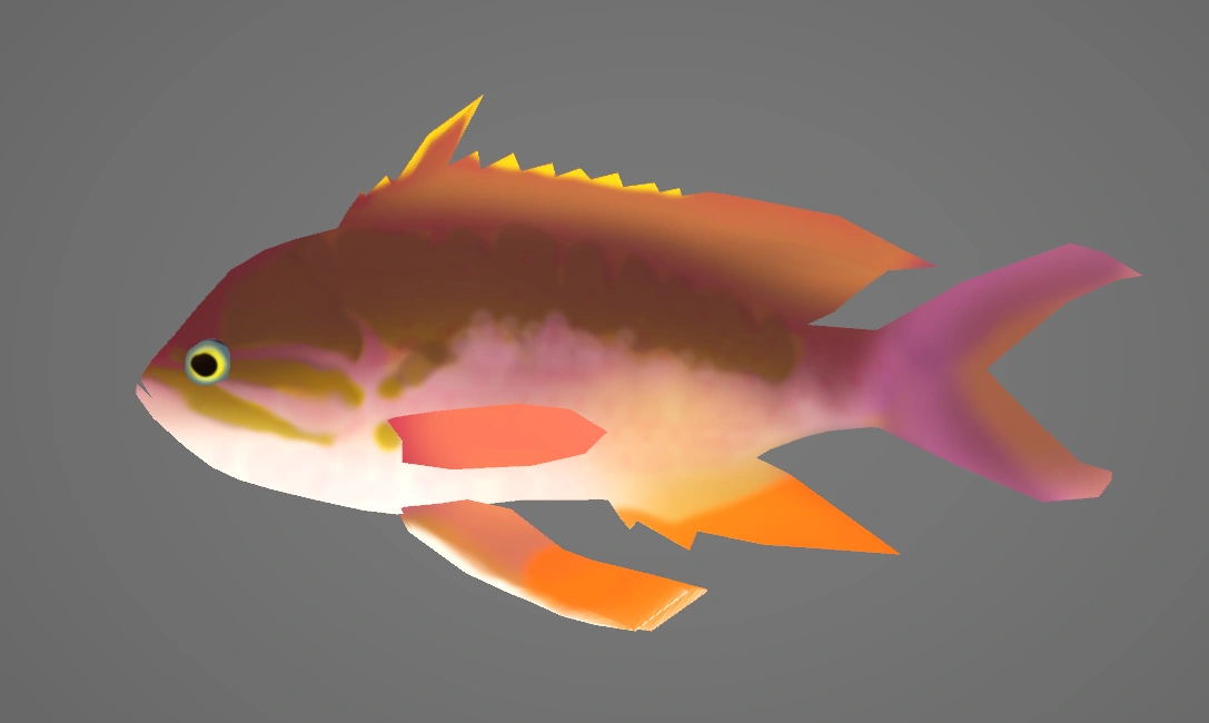 Swallowtail Seaperch | CatfishYAY's National Aquarium Wiki | Fandom