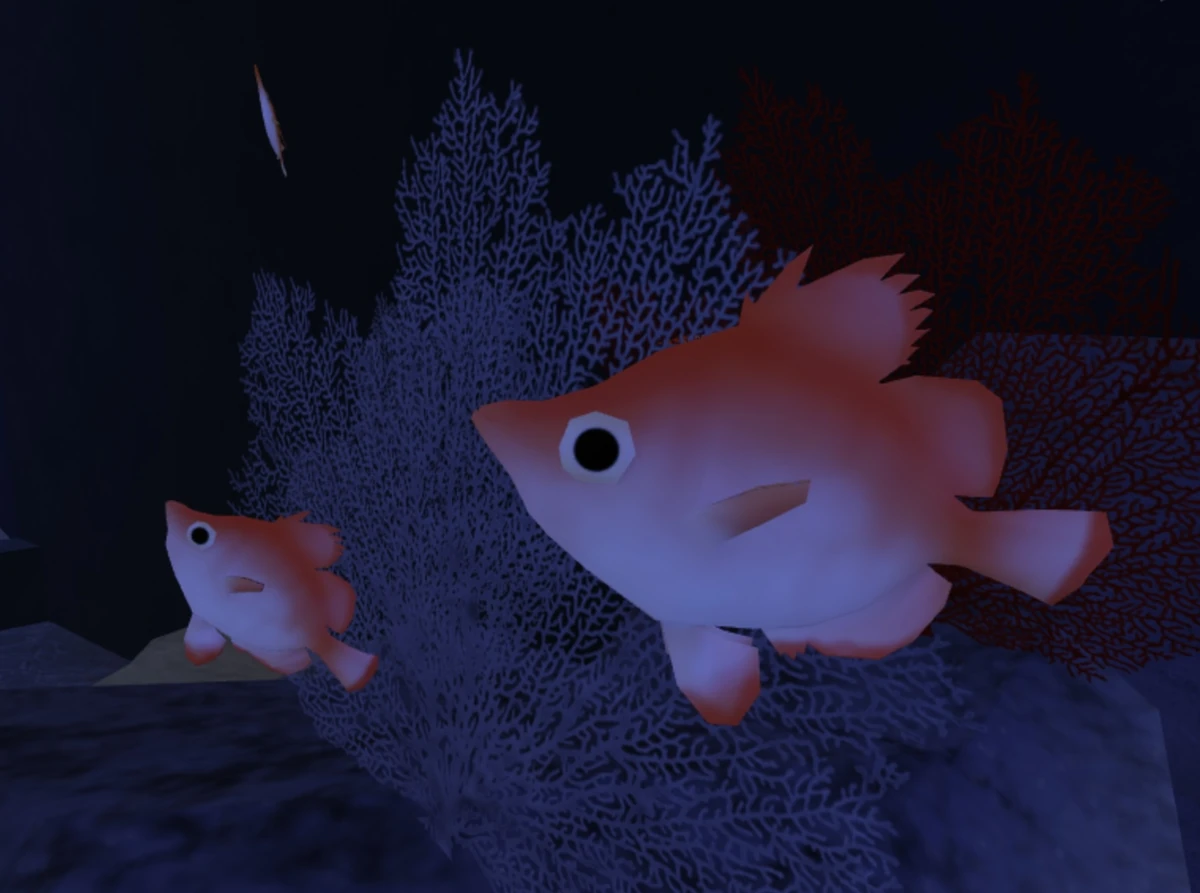 Boarfish | CatfishYAY's National Aquarium Wiki | Fandom