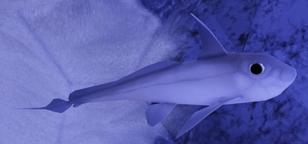 Cuban Chimaera | CatfishYAY's National Aquarium Wiki | Fandom