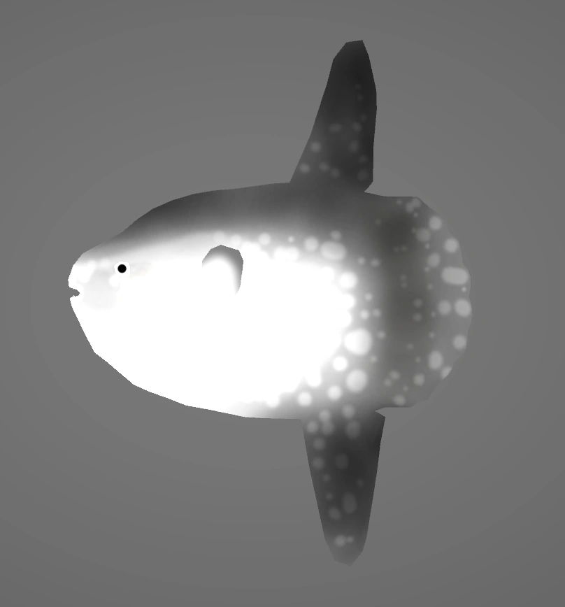 Ocean Sunfish | CatfishYAY's National Aquarium Wiki | Fandom