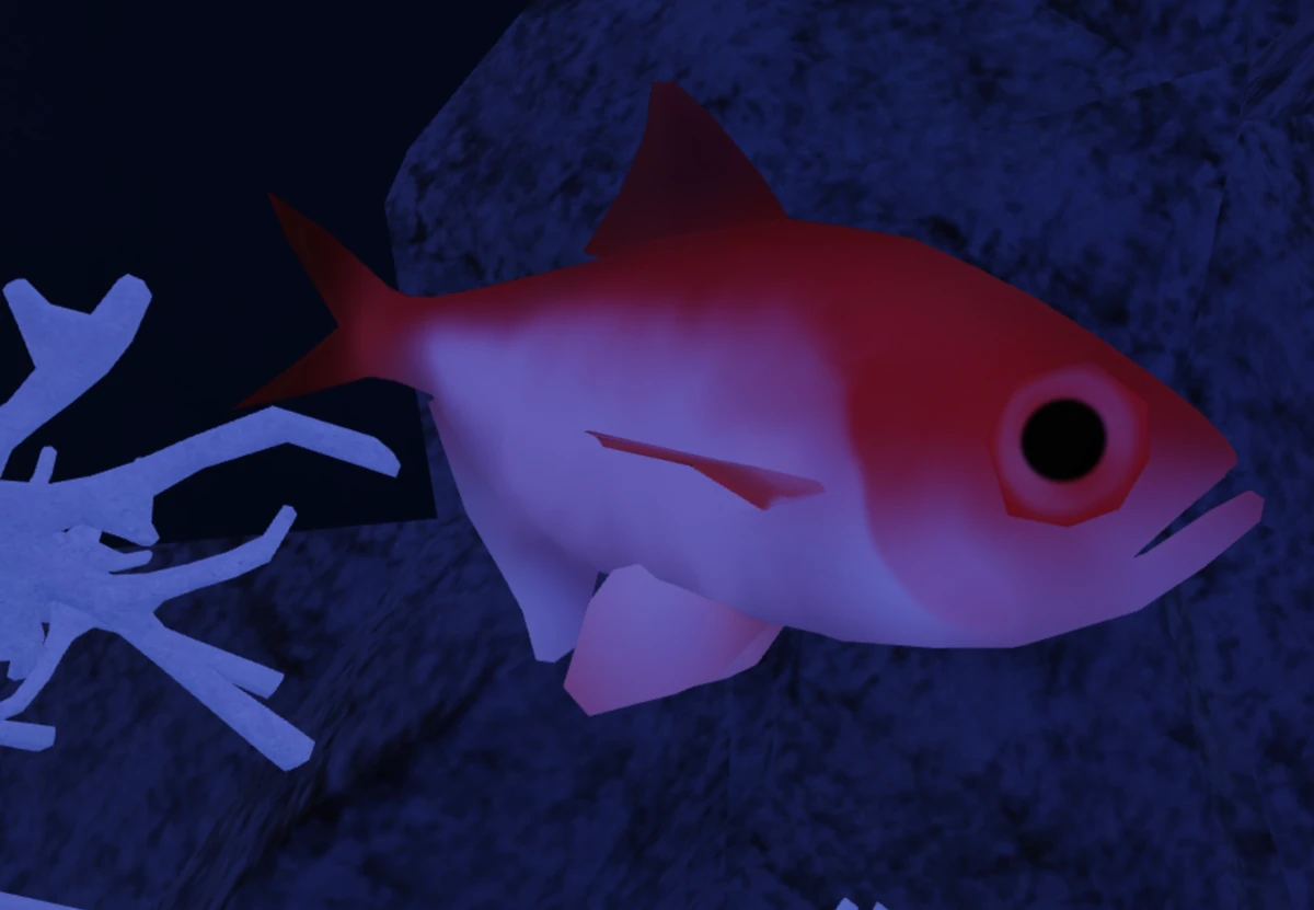 Alfonsino | CatfishYAY's National Aquarium Wiki | Fandom