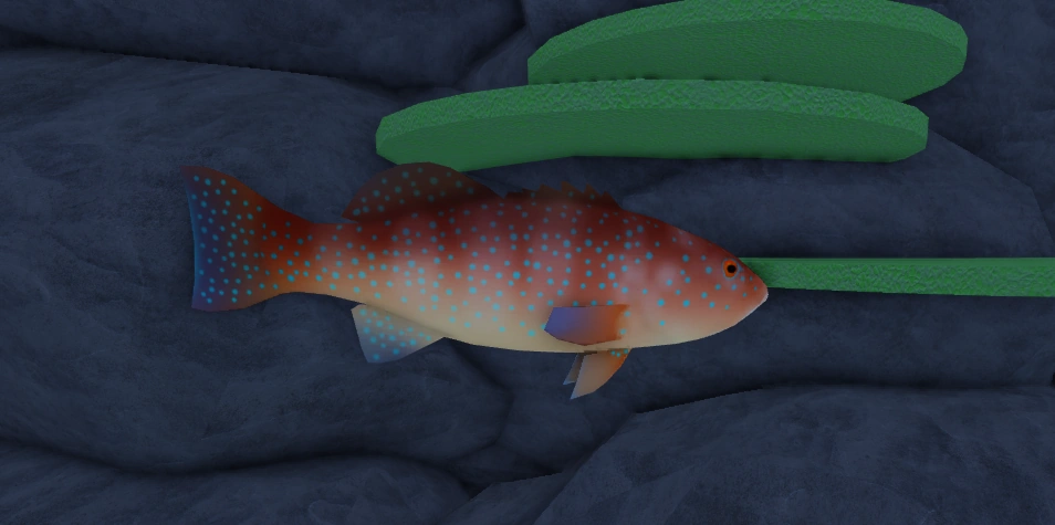 leopard grouper size