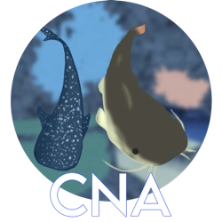 Velvet Whalefish | CatfishYAY's National Aquarium Wiki | Fandom