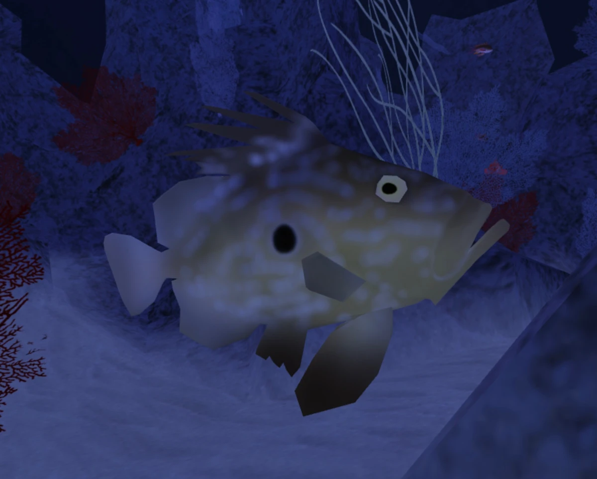 John dory | CatfishYAY's National Aquarium Wiki | Fandom