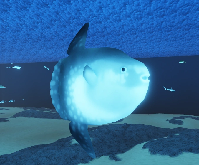 Ocean Sunfish | CatfishYAY's National Aquarium Wiki | Fandom