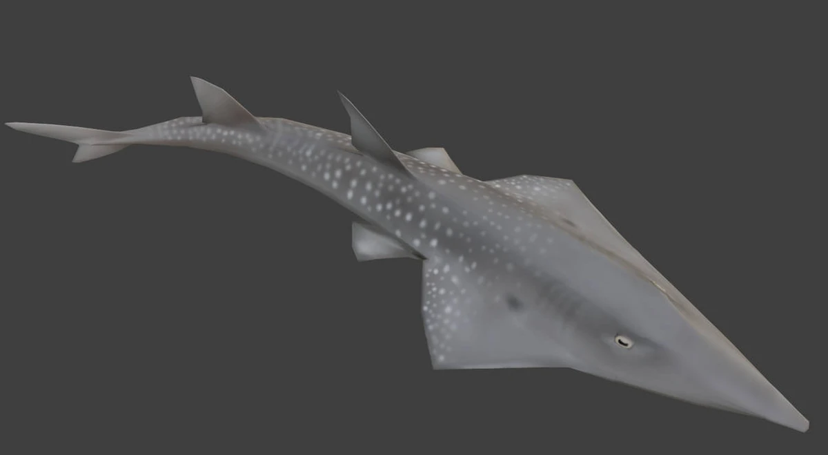 Giant Guitarfish | CatfishYAY's National Aquarium Wiki | Fandom