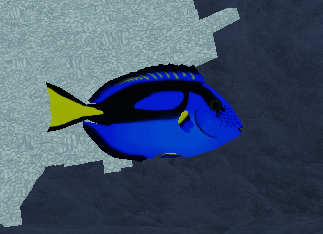 Category:Surgeonfishes and Relatives | CatfishYAY's National Aquarium ...
