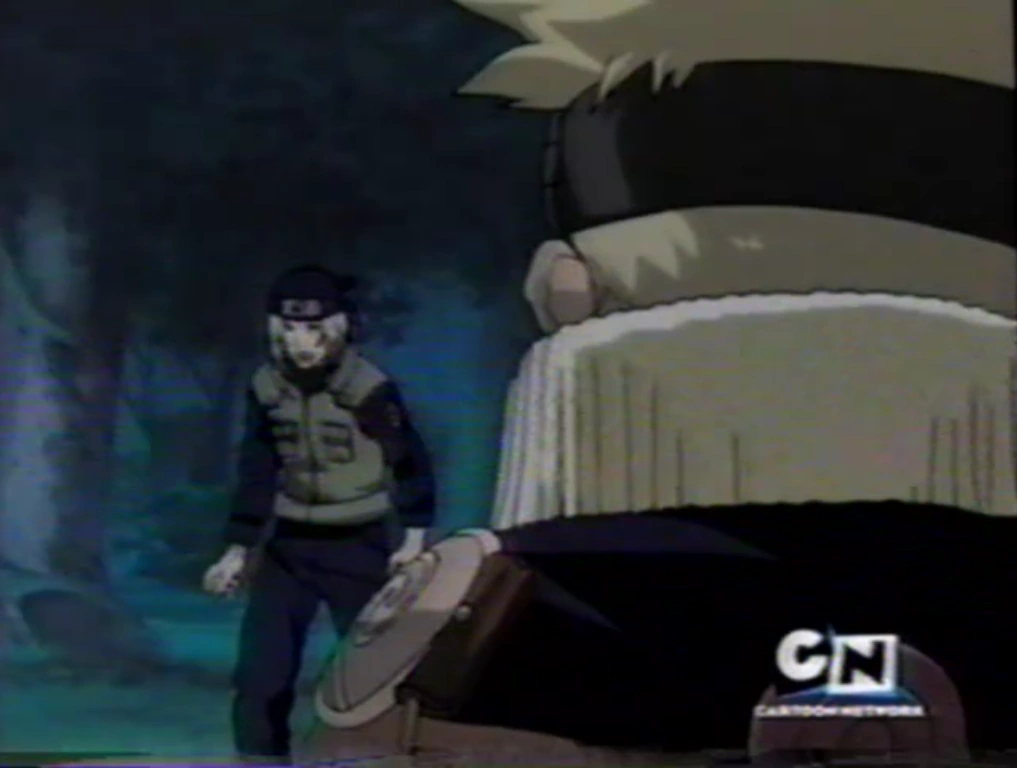 December 31, 2005 | Cartoon Network/Adult Swim Archives Wiki | Fandom