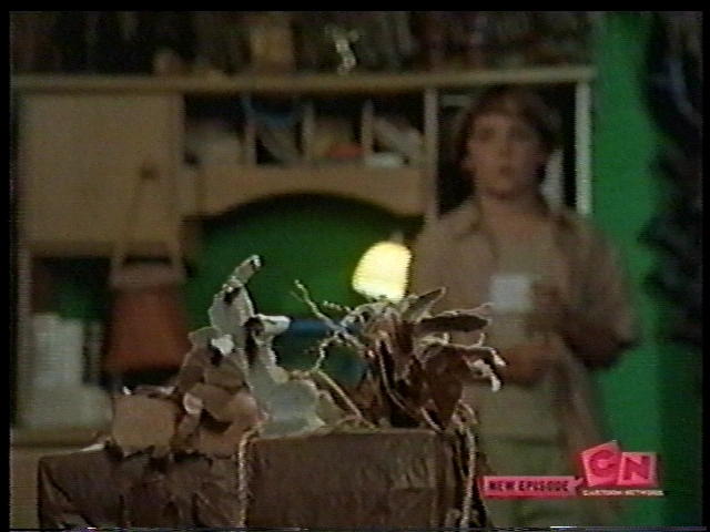 October 22, 2008 | Cartoon Network/Adult Swim Archives Wiki | Fandom