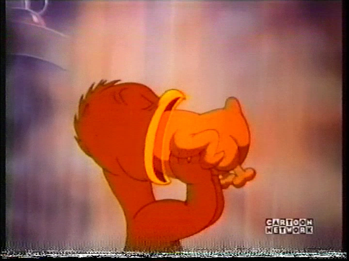 September 14, 2002 | Cartoon Network/Adult Swim Archives Wiki | Fandom