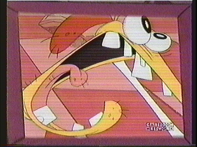 August 24, 1998 | Cartoon Network/Adult Swim Archives Wiki | Fandom