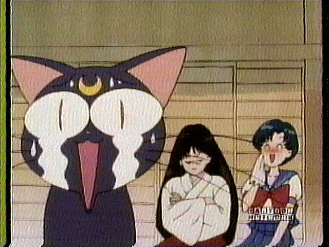 September 29, 1998 | Cartoon Network/Adult Swim Archives Wiki | Fandom