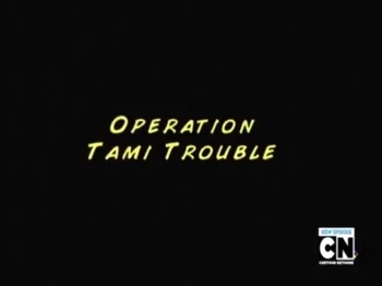 July 16, 2010/Operation: Tami Trouble | Cartoon Network/Adult Swim ...