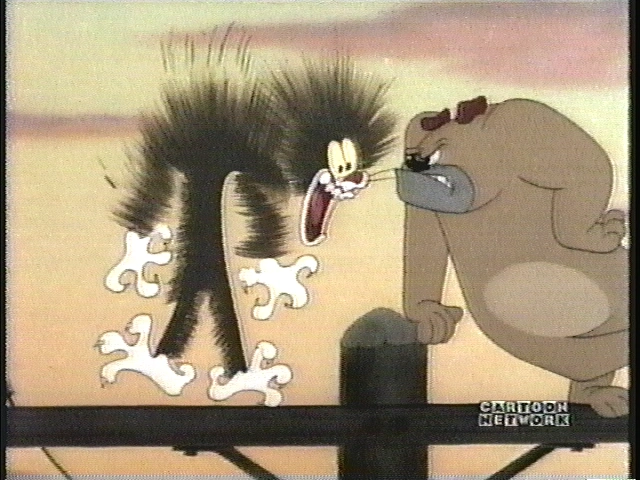 December 12, 1999 | Cartoon Network/Adult Swim Archives Wiki | Fandom