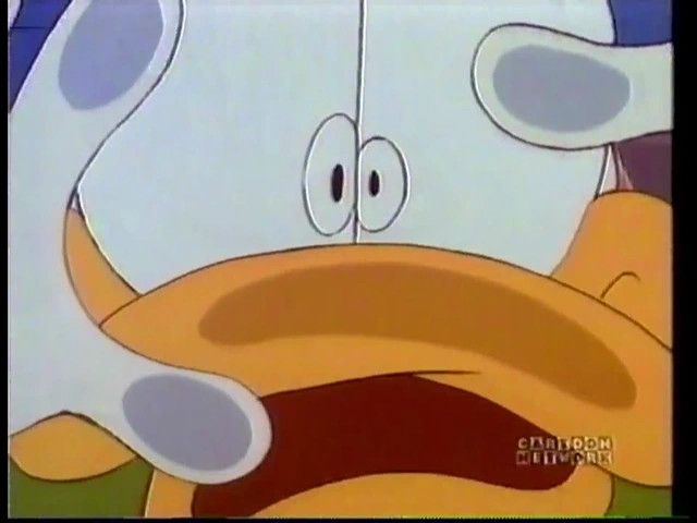 Category:1996 | Cartoon Network/Adult Swim Archives Wiki | Fandom