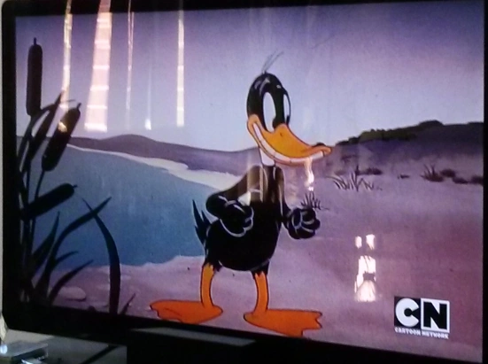 January 14, 2014 | Cartoon Network/Adult Swim Archives Wiki | Fandom