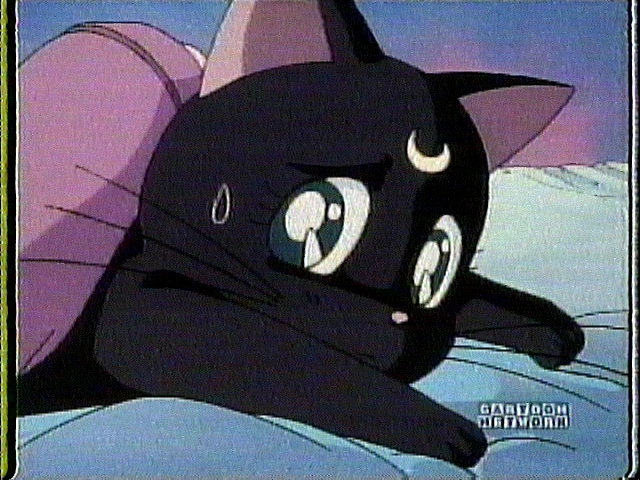 October 13, 1998 | Cartoon Network/Adult Swim Archives Wiki | Fandom