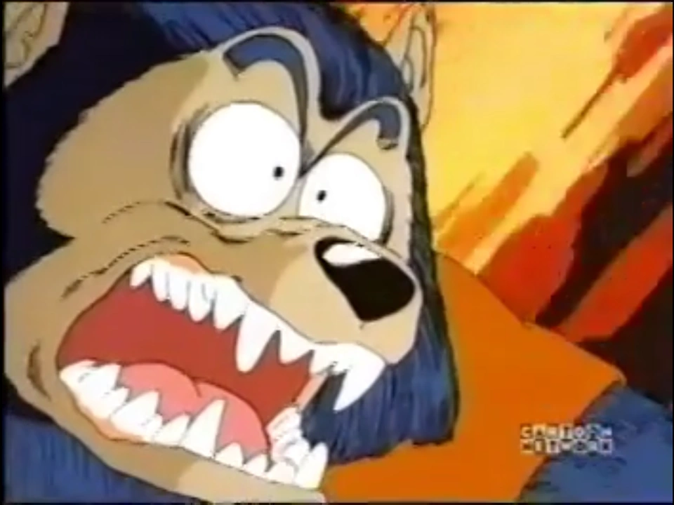 December 13, 2002 | Cartoon Network/Adult Swim Archives Wiki | Fandom