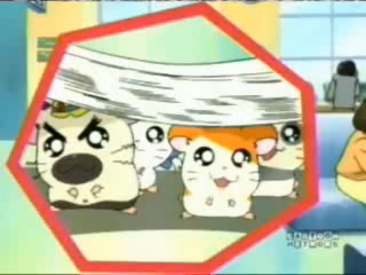 June 3, 2003 | Cartoon Network/Adult Swim Archives Wiki | Fandom