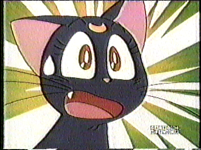 June 4, 1999 | Cartoon Network/Adult Swim Archives Wiki | Fandom