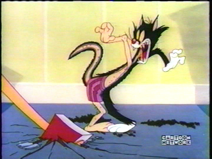 November 25, 2001 | Cartoon Network/Adult Swim Archives Wiki | Fandom