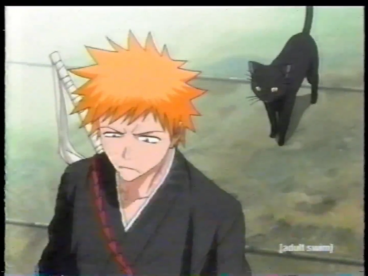 October 23, 2007 | Cartoon Network/Adult Swim Archives Wiki | Fandom