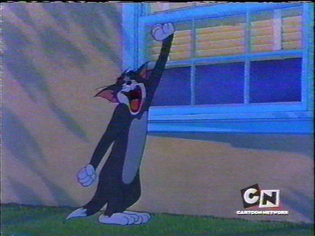 April 17, 2007 | Cartoon Network/Adult Swim Archives Wiki | Fandom