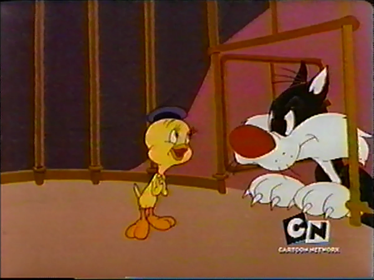 June 19, 2004 | Cartoon Network/Adult Swim Archives Wiki | Fandom