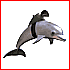 Dolphin (Red Alert 2) | Command and Conquer Wiki | Fandom
