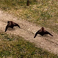 Visceroid (Tiberium Wars) | Command and Conquer Wiki | Fandom