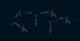 Dolphin (Red Alert 2) | Command and Conquer Wiki | Fandom