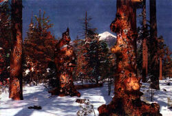 Tiberium | Command and Conquer Wiki | Fandom