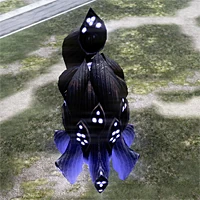 Drone Ship | Command and Conquer Wiki | Fandom