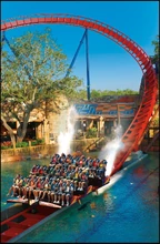Dive Roller Coaster | Roller Coaster Wiki | Fandom