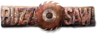 BuzzSaw | Roller Coaster Wiki | Fandom
