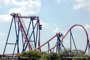 SheiKra | Roller Coaster Wiki | Fandom