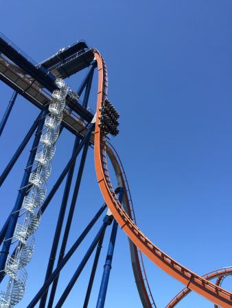 Dive Roller Coaster | Roller Coaster Wiki | Fandom