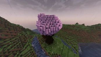 Customs Structure ! | CobbleVerse Wiki | Fandom