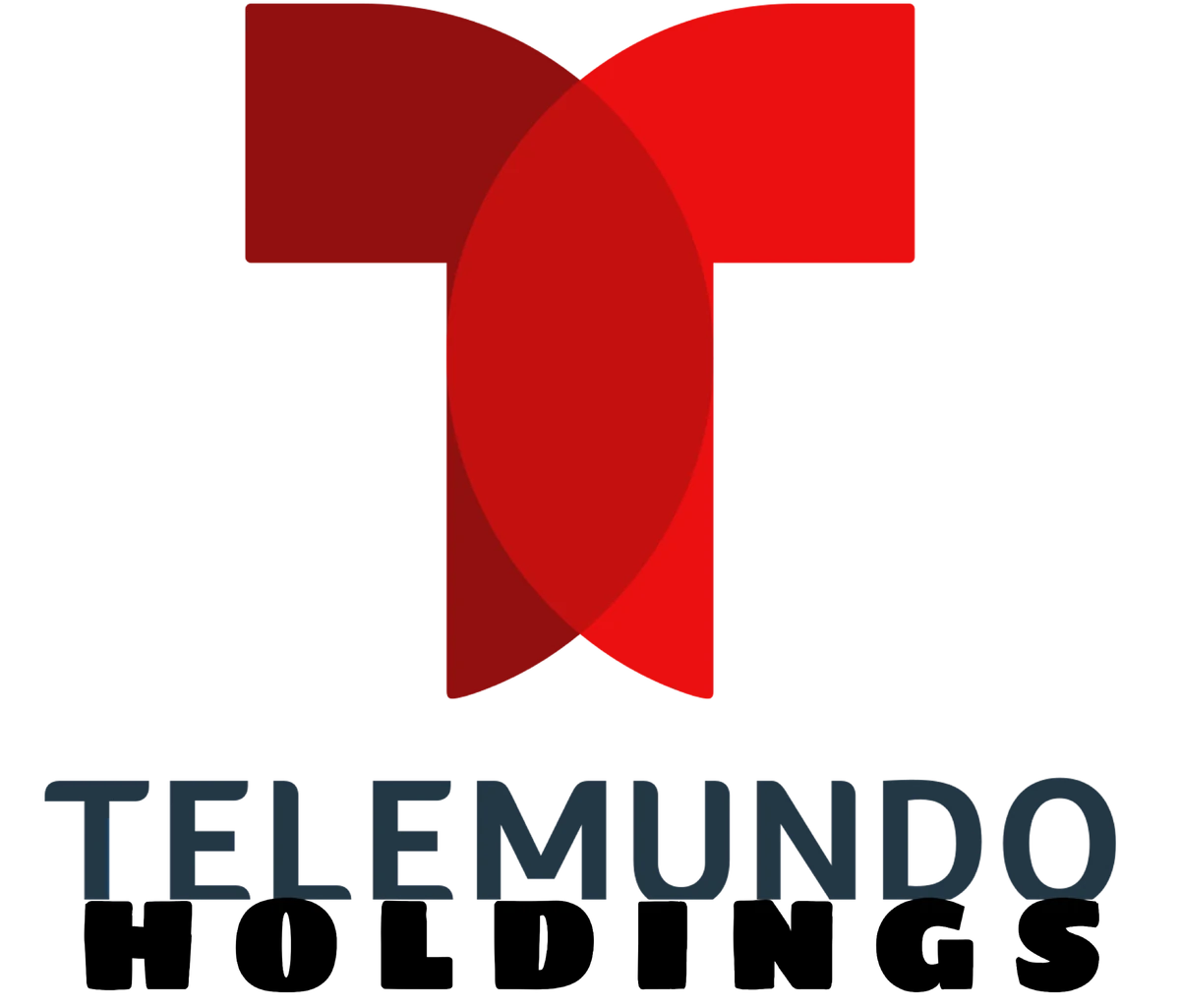 Telemundo Holdings | Archverse Wiki | Fandom