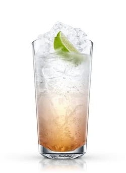 Appletonic | Cocktails Wiki | Fandom