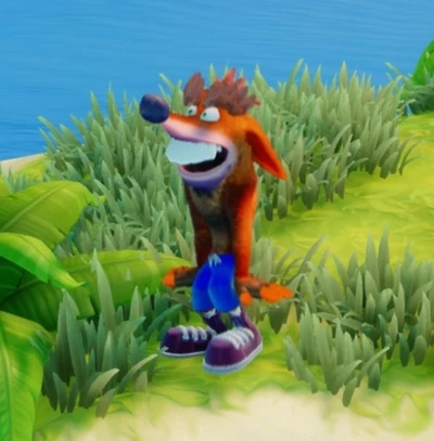 Fake Crash | Coco Bandicoot Wiki | Fandom