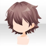 Precious a la mode | CocoPPa Play Wiki | Fandom