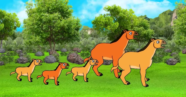 Moropus | CoCosToy Wiki | Fandom