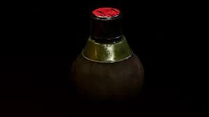 Gammon Bomb | Cod vanguard Wiki | Fandom