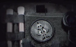 Fuerza Operativa 141 | Call of Duty Wiki | Fandom