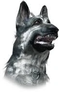 Unidad canina | Call of Duty Wiki | Fandom