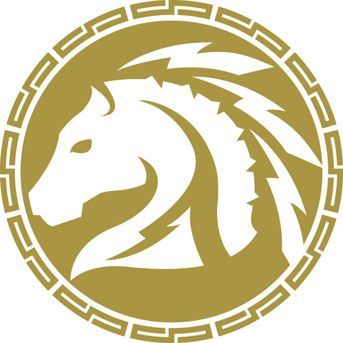 Kansas City Pioneers - Call of Duty Esports Wiki